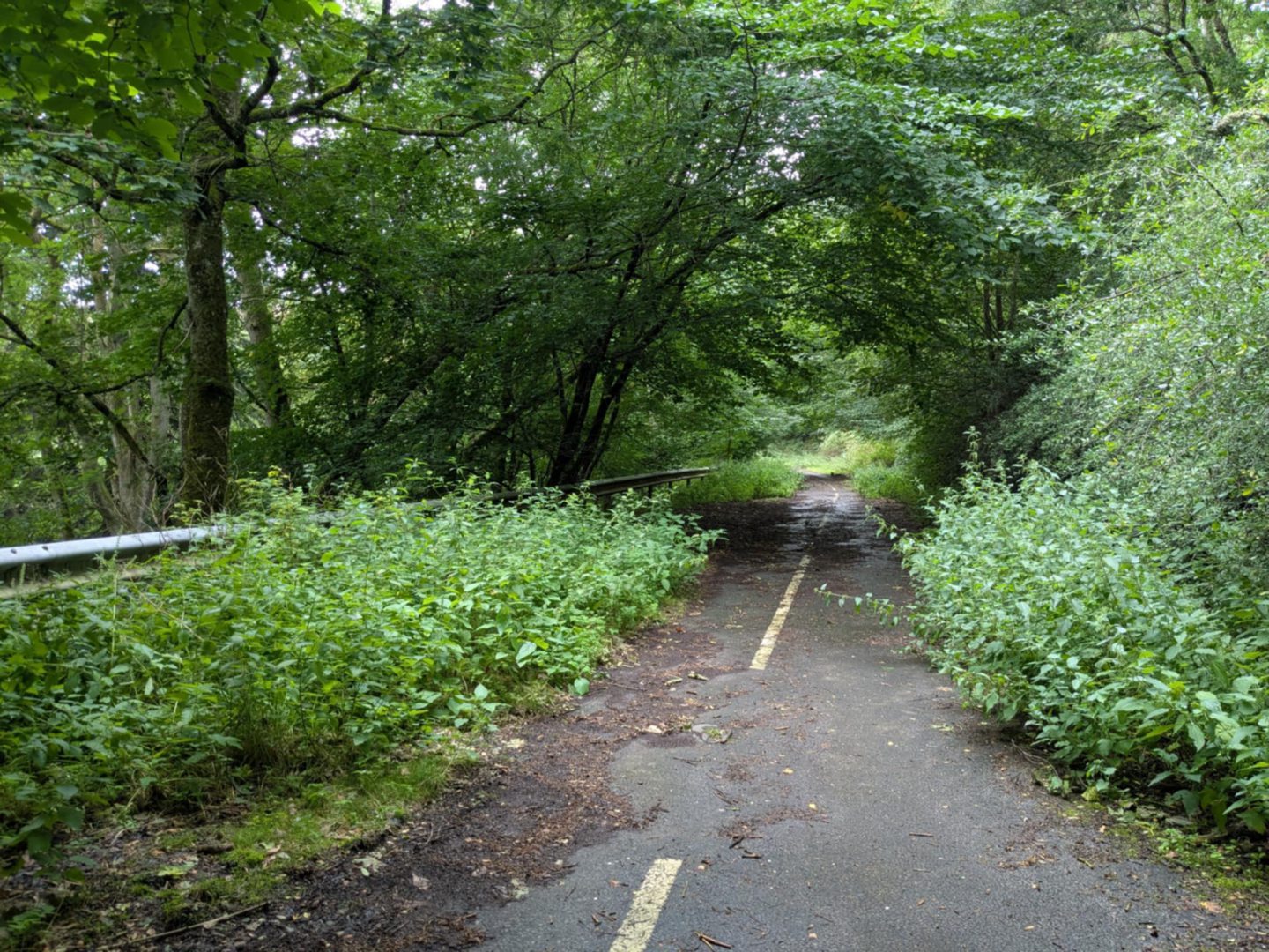 Exploring abandoned 'ghost' road north of Blairgowrie