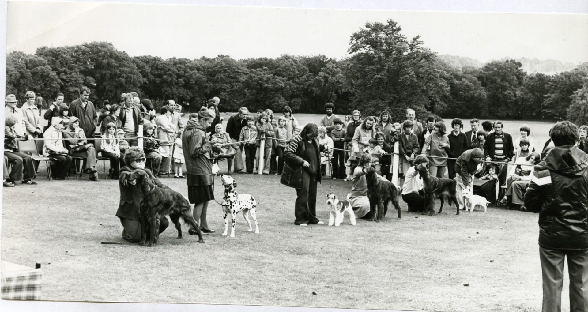 Celebrating Dundee dogs in archive photos from the 1970s and 80s