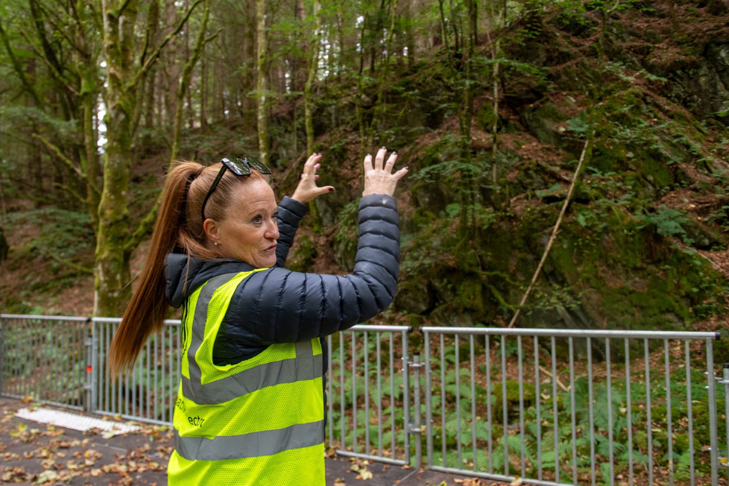 Enchanted Forest: Behind the scenes with team behind 2025 show