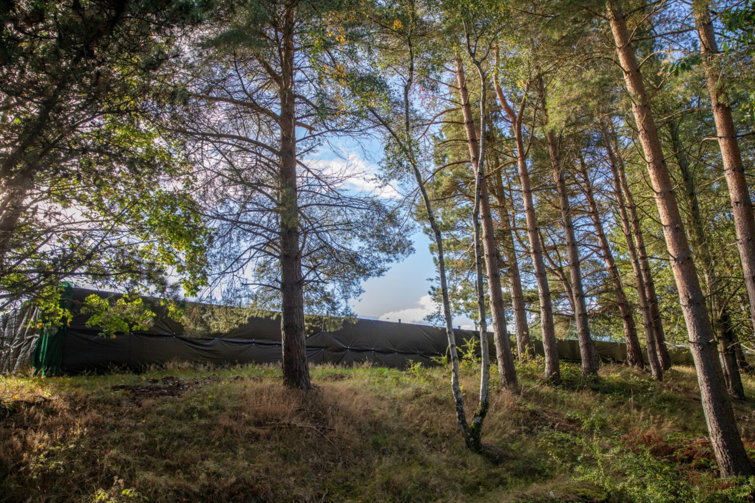 Perth wind turbine goes completely as Aviva probes blades 'crash'