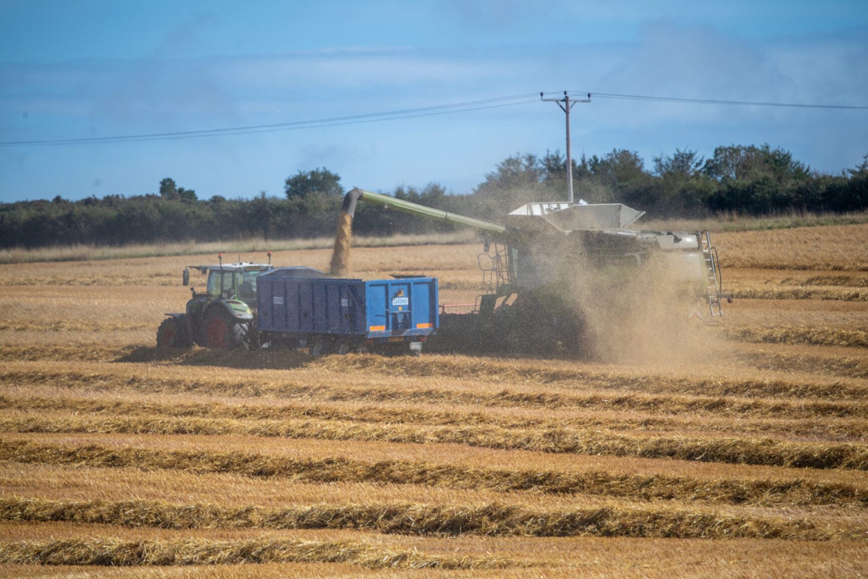 Perthshire farmer's concerns as maltsters 'don't want' spring barley ...