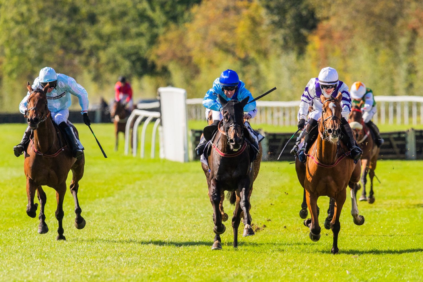 Gallery: The Glorious Finale at Perth Racecourse 2025