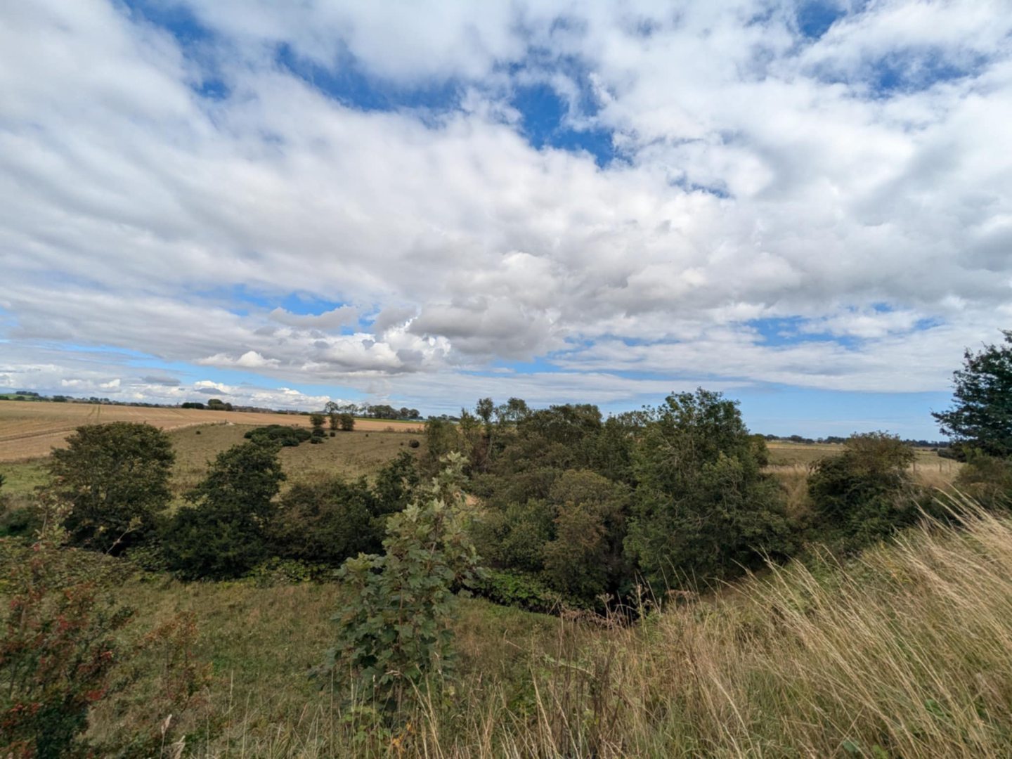 Carnoustie Fairy Steps: A whimsical walk full of surprises