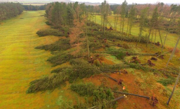 Forfar Golf Club members to vote on takeover plan