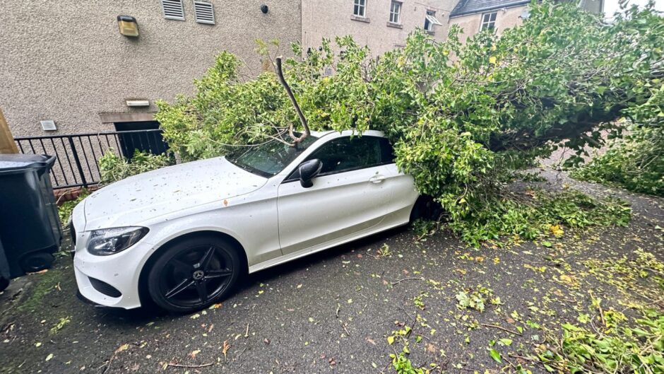 Bridge of Allan man's car trapped under fallen tree for a week