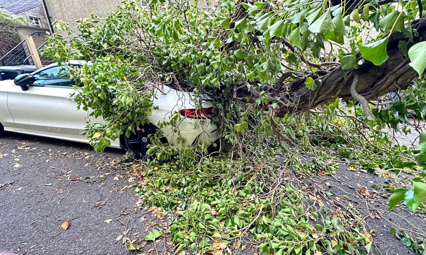Bridge of Allan man's car trapped under fallen tree for a week