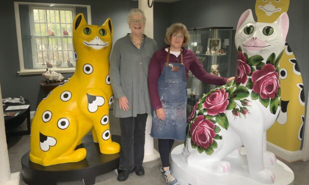 Kirkcaldy Wemyss Ware cat trail to be summer visitor attraction