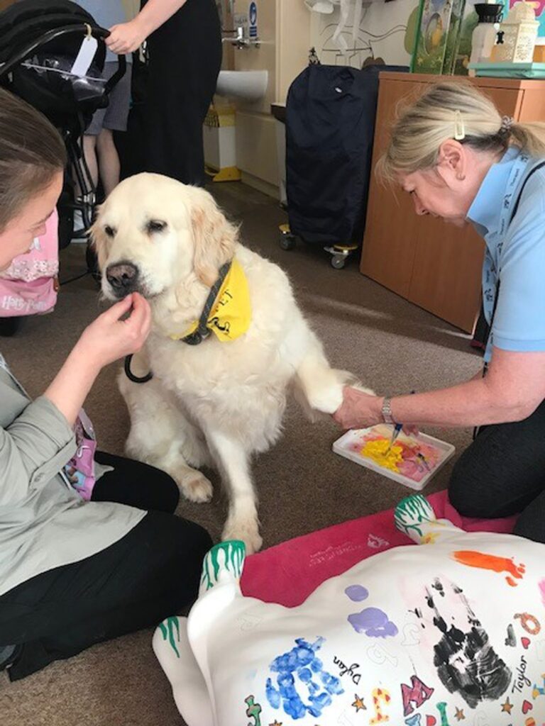 CHAS therapy dog lit up lives of Rachel House hospice families