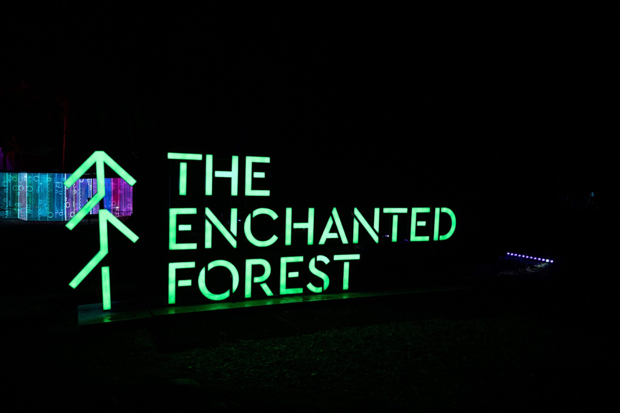 Enchanted Forest 2025: What's our verdict?