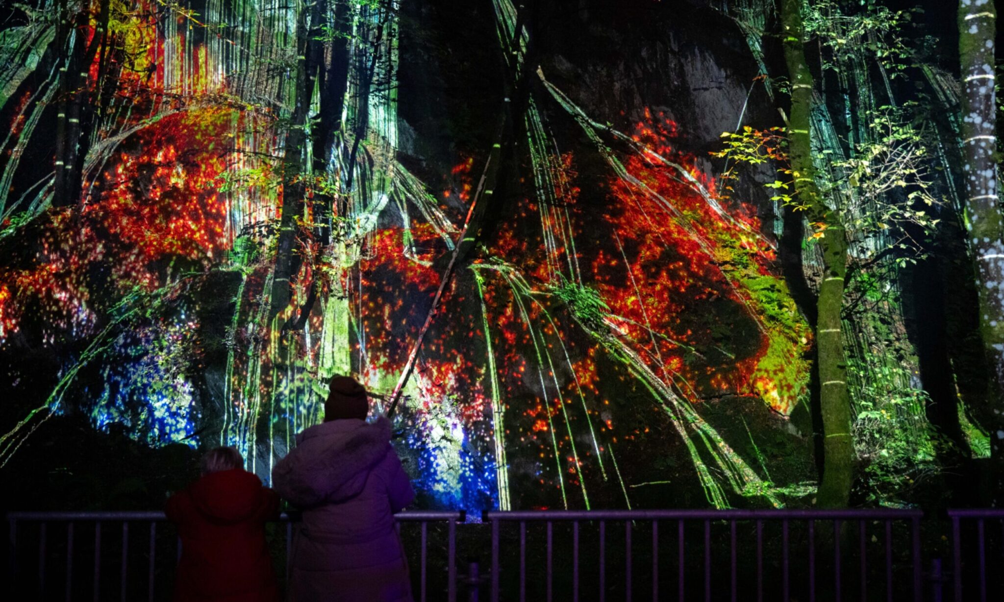 Pitlochry Enchanted Forest superfan hasn't missed a show
