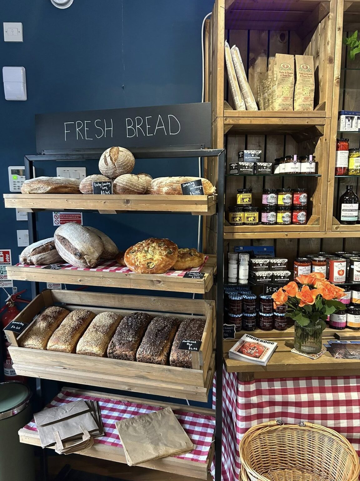 Falkland's Megan Watson, 25, takes over village's deli and bakery