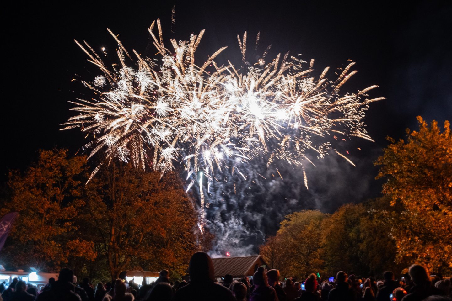 IN PICTURES: Edzell bonfire and fireworks fun