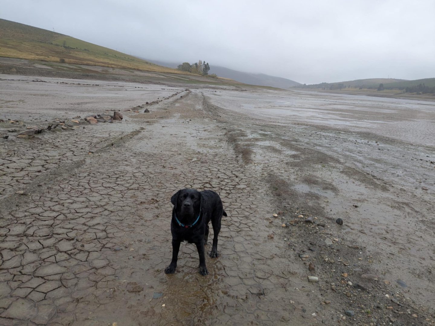 Lost Angus farming community emerges from Backwater Reservoir