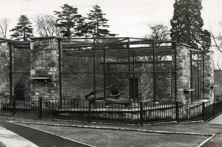 Photos of Camperdown Wildlife Centre from the 1980s