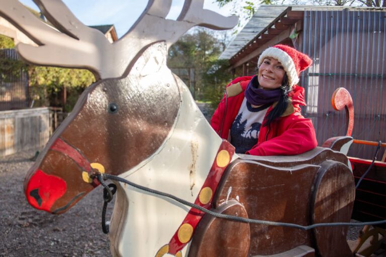 Discover a festive wonderland at Charleton Farm near Montrose