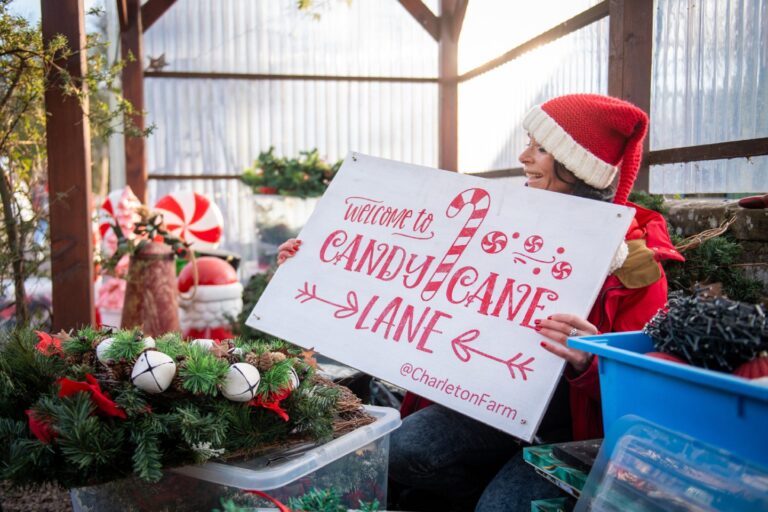 Discover a festive wonderland at Charleton Farm near Montrose