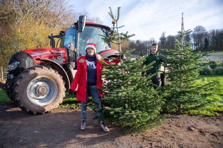 Discover a festive wonderland at Charleton Farm near Montrose