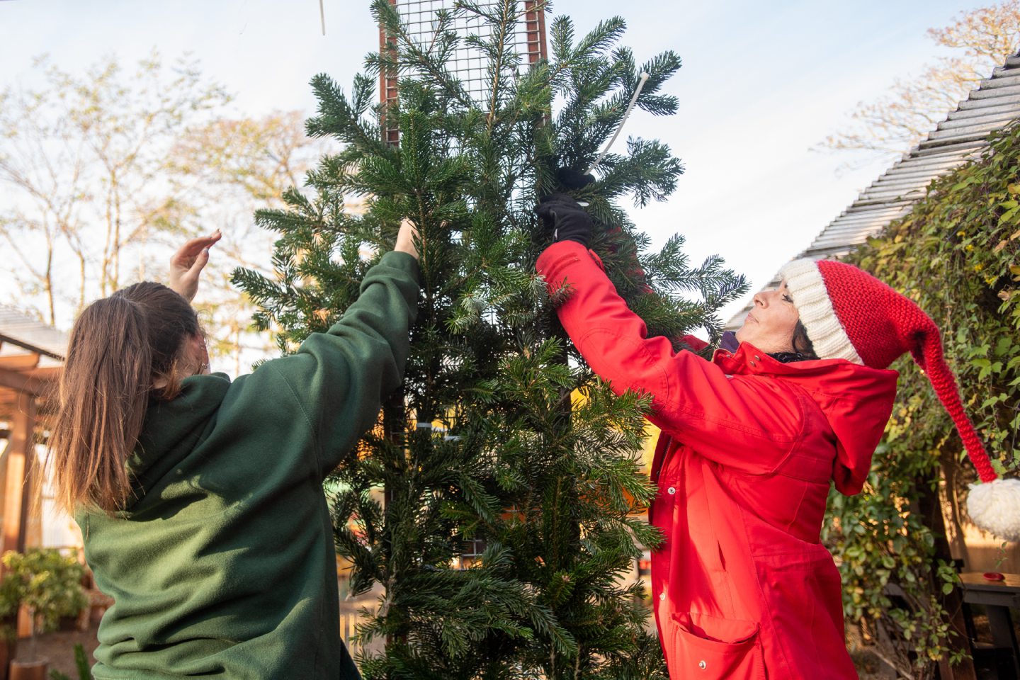 Discover a festive wonderland at Charleton Farm near Montrose