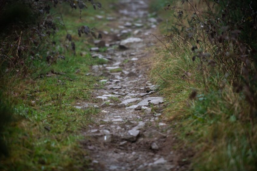 Sidlaw hills photography: wild escapes near Dundee in misty focus