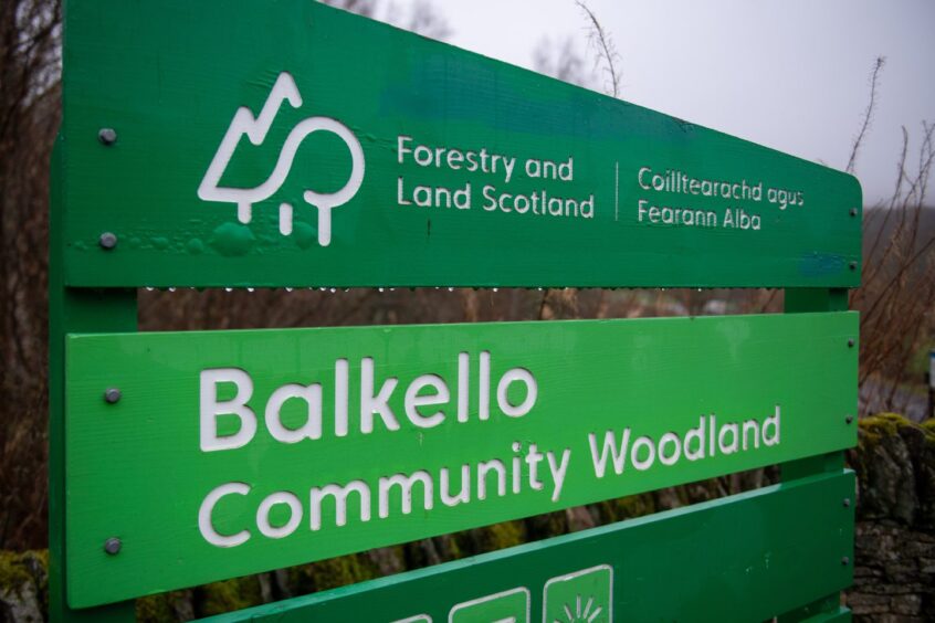 Sidlaw hills photography: wild escapes near Dundee in misty focus