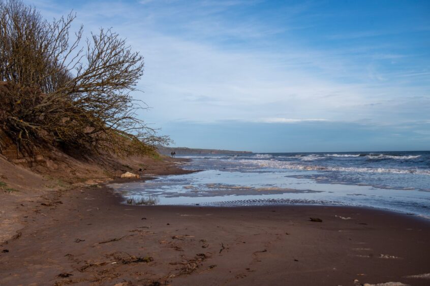 Lunan Bay beach photography captures Angus coast beauty