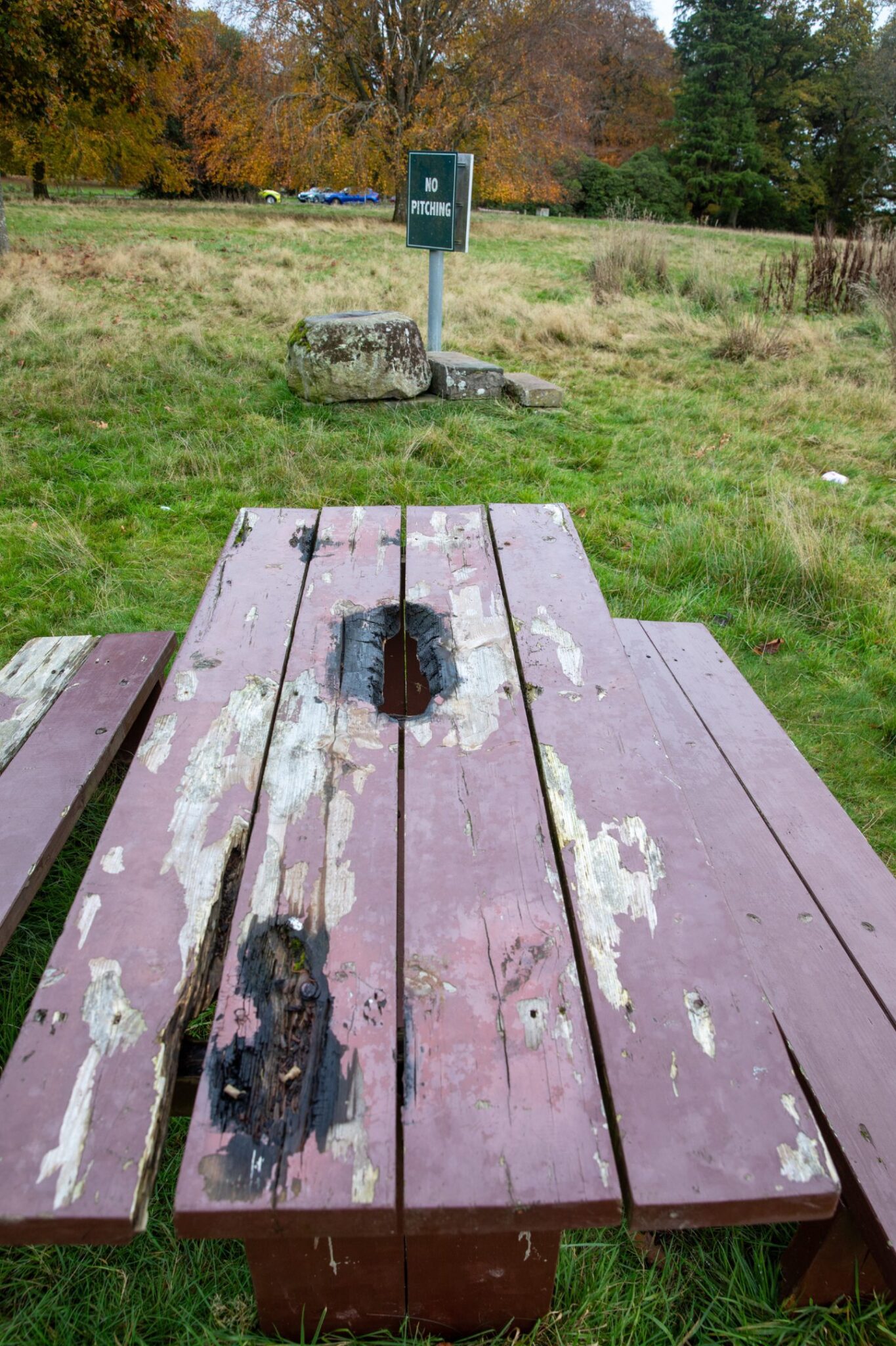 Steve Finan on Dundee city centre ambassadors