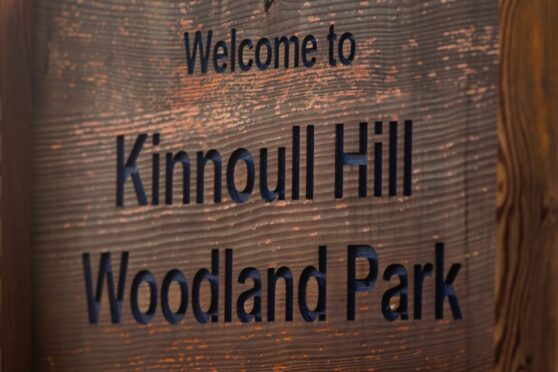 Kinnoull Hill Perthshire walk: scenic trails to the summit