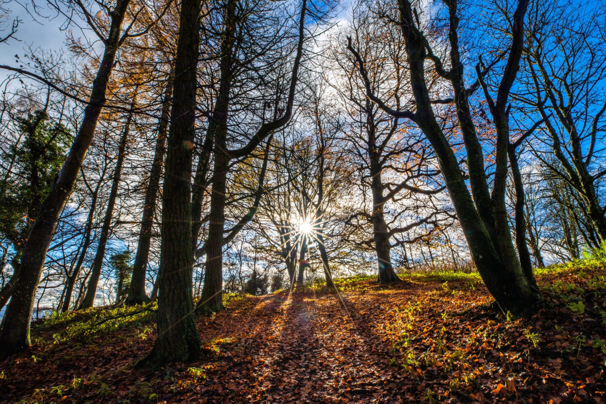 Kinnoull Hill Perthshire walk: scenic trails to the summit