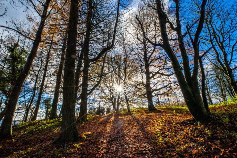 Kinnoull Hill Perthshire walk: scenic trails to the summit