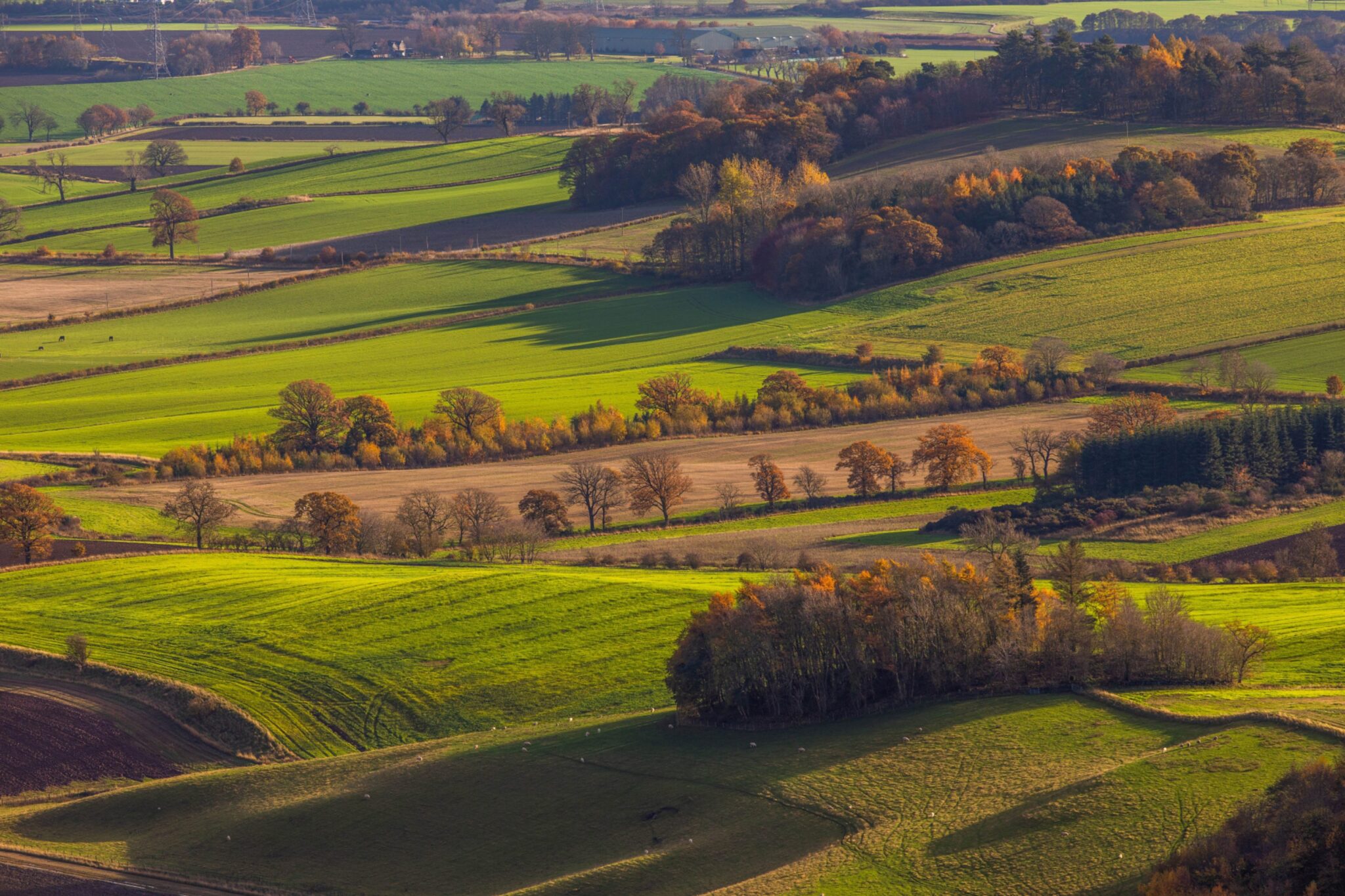 Kinnoull Hill Perthshire walk: scenic trails to the summit