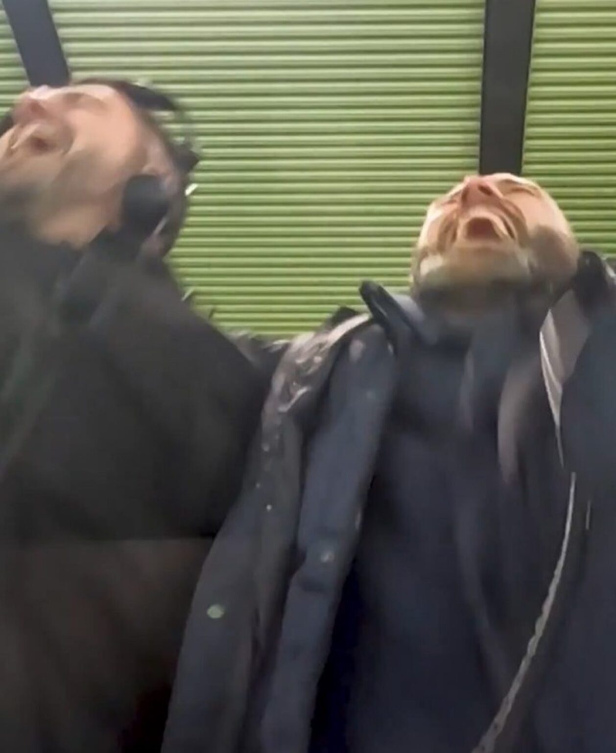 Steven Thompson & James McFadden go viral for Scotland clips