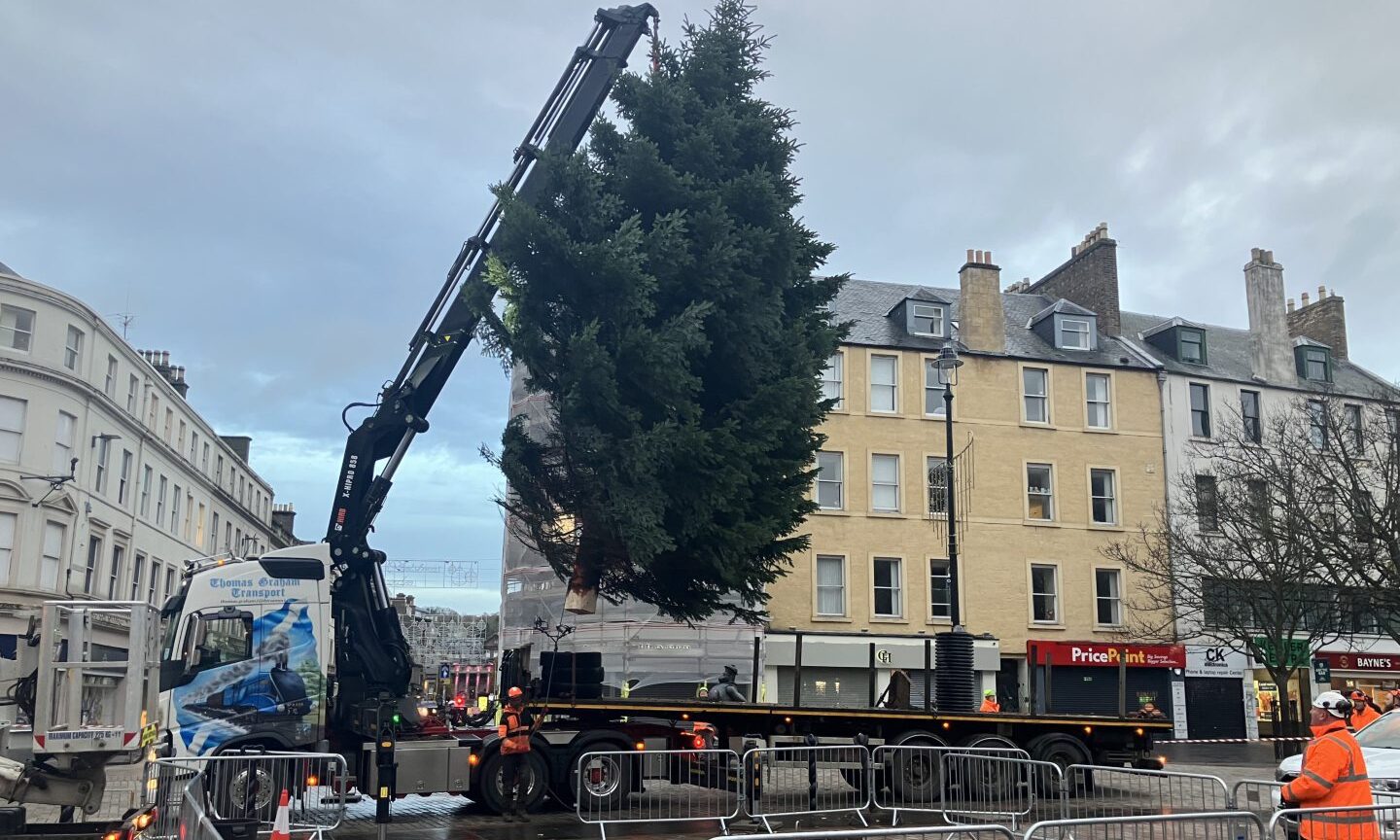 Photos as Christmas tree returns to Dundee's City Square