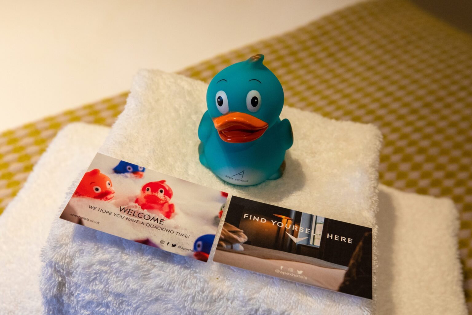 EXCLUSIVE: Dunblane Hydro plans revealed after Apex takeover