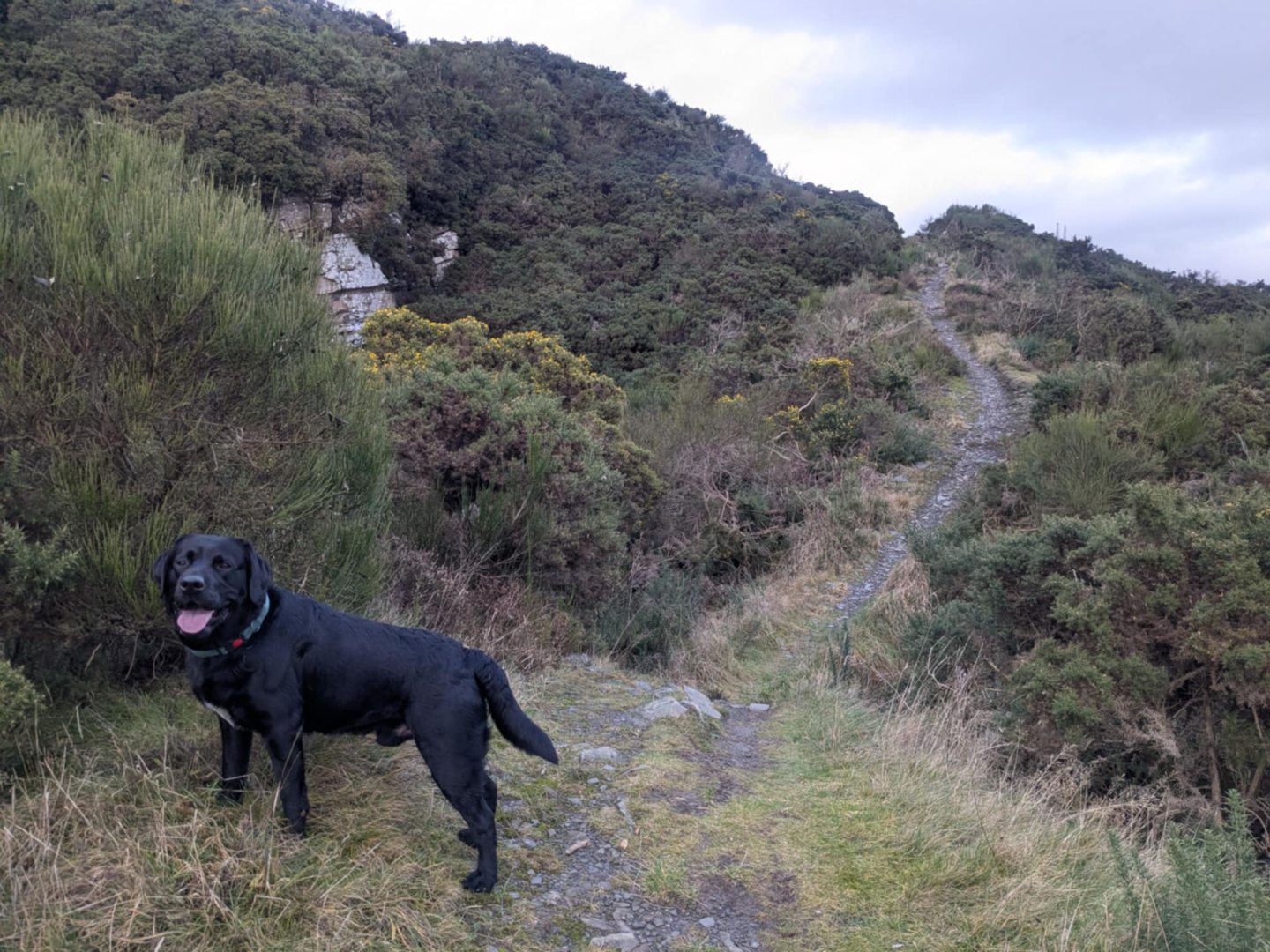 Sunset Sidlaw summit to honour blind Dundee walker Syd Scroggie