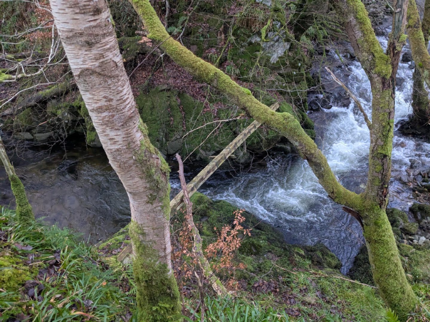 Why the hidden Falls of Drumley Harry in Glen Ogil are so special