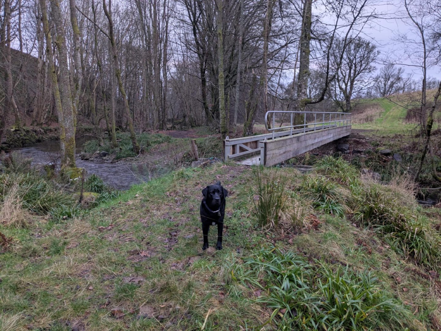 Why the hidden Falls of Drumley Harry in Glen Ogil are so special