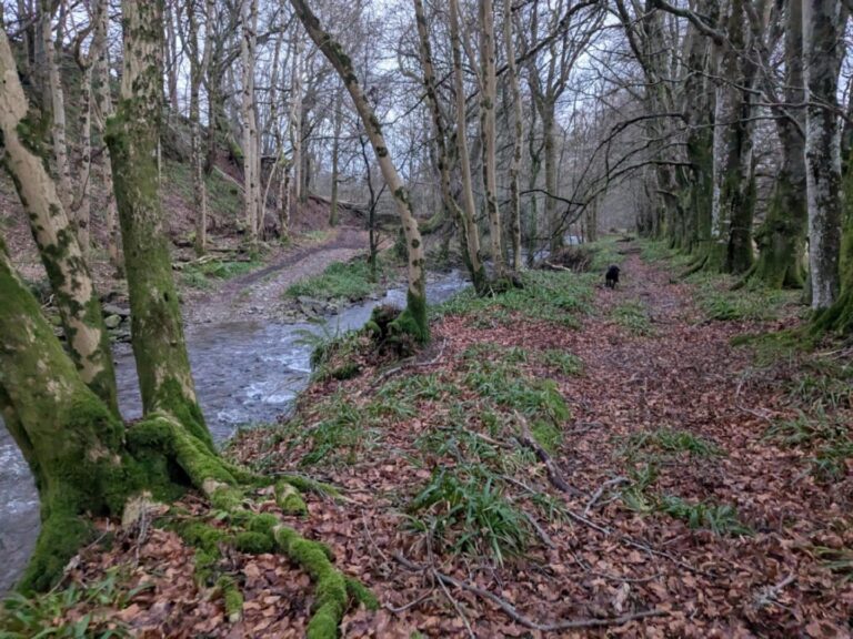 Why the hidden Falls of Drumley Harry in Glen Ogil are so special