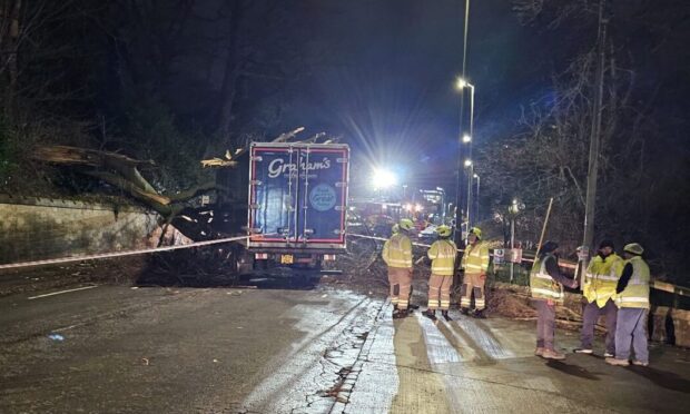 Tree collapses on Graham's Dairy lorry in Bridge of Allan