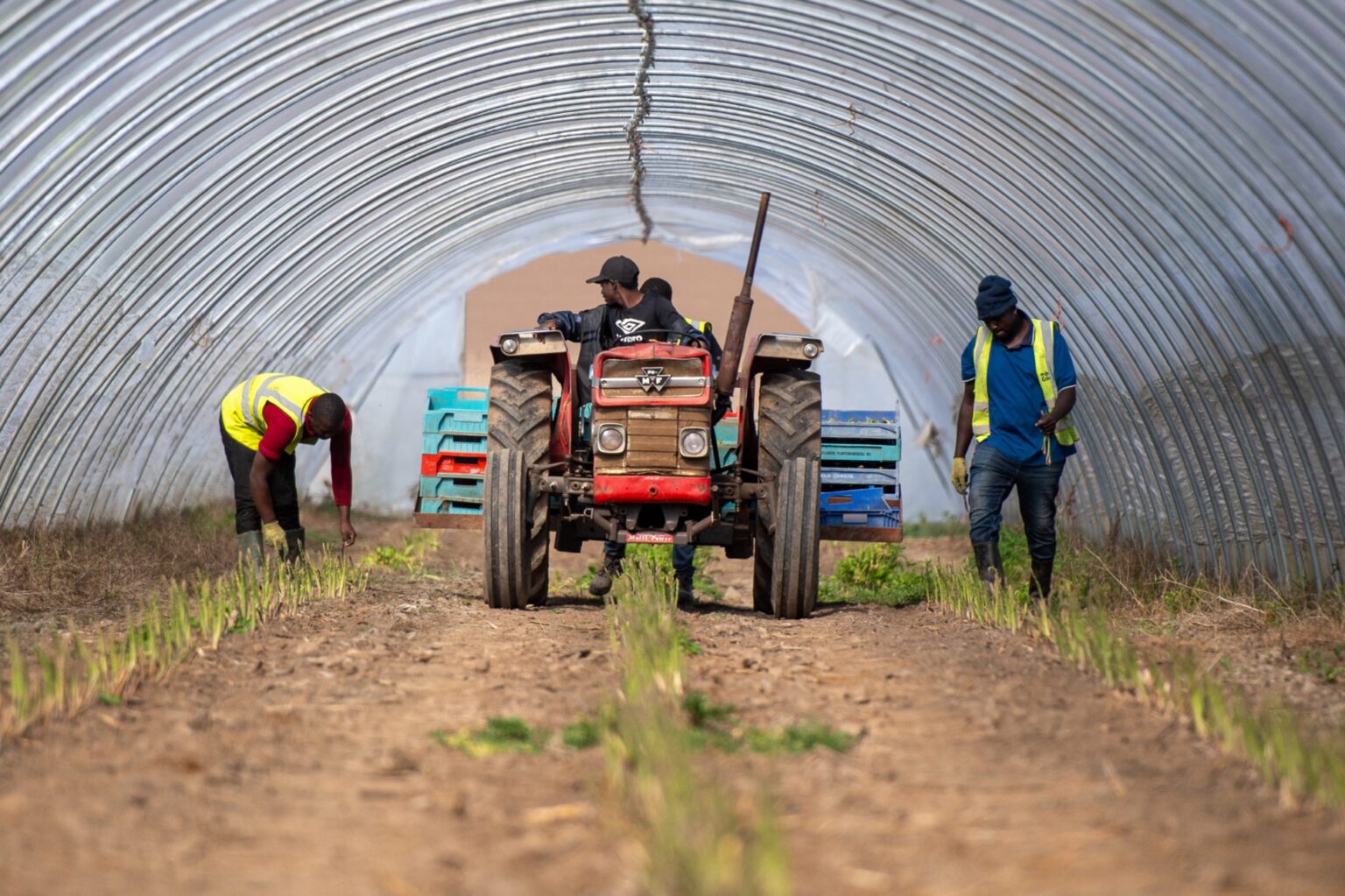 Angus in pictures 2025: Highlights from festivals and community life