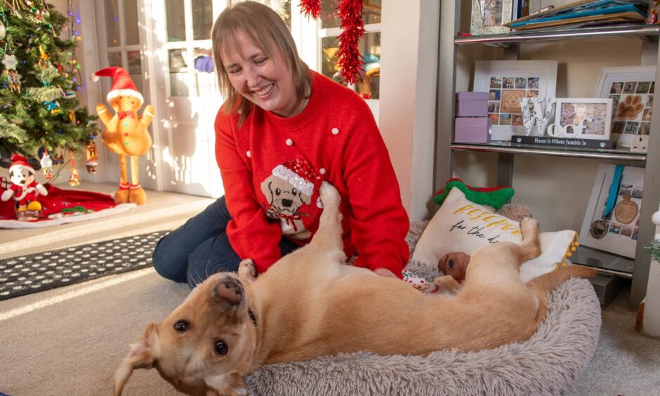 Dundee deafblind woman's 'best Christmas gift' is new guide dog