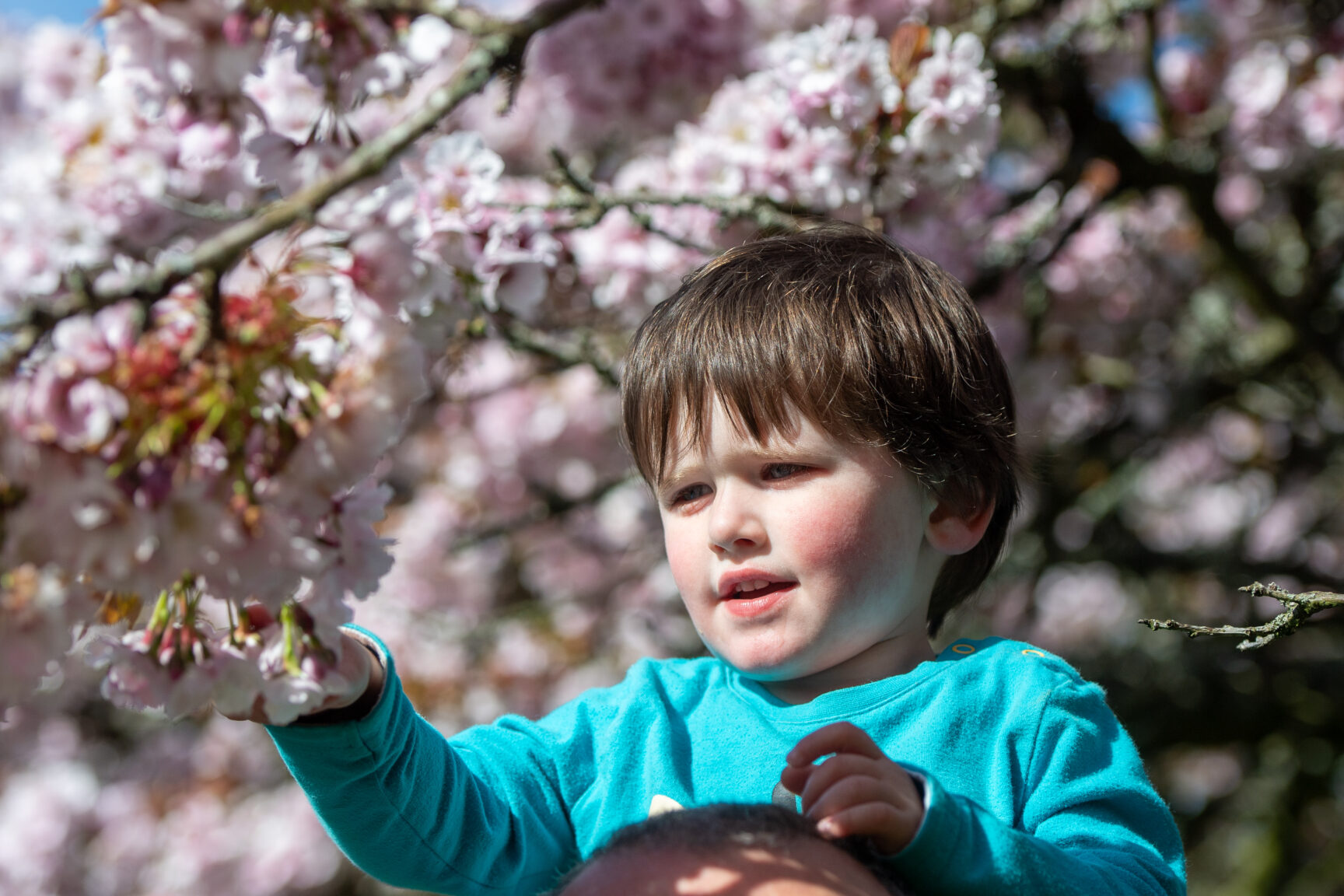 Dundee picture gallery: The Courier captures 2025 in photos