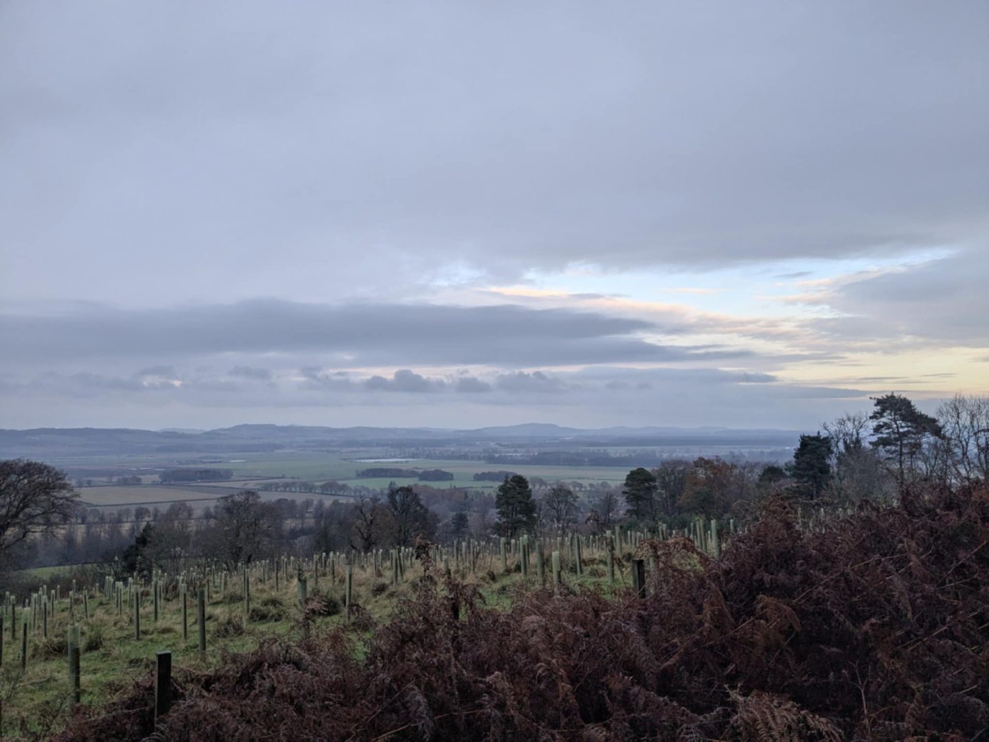 Exploring magical Maspie Den in Falkland