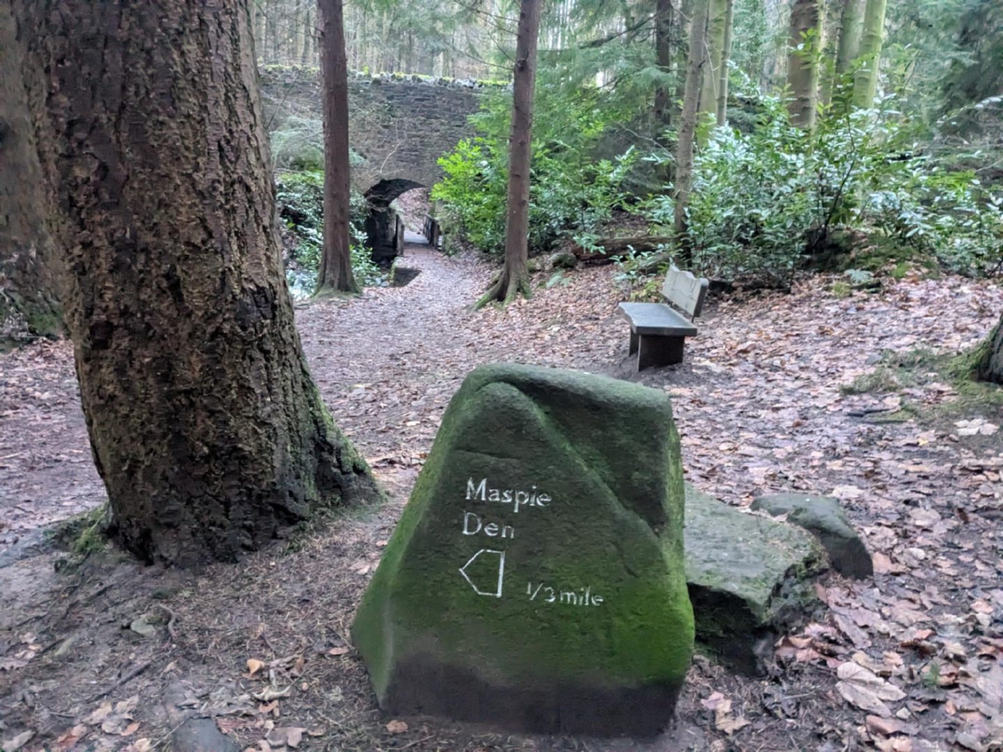 Exploring magical Maspie Den in Falkland