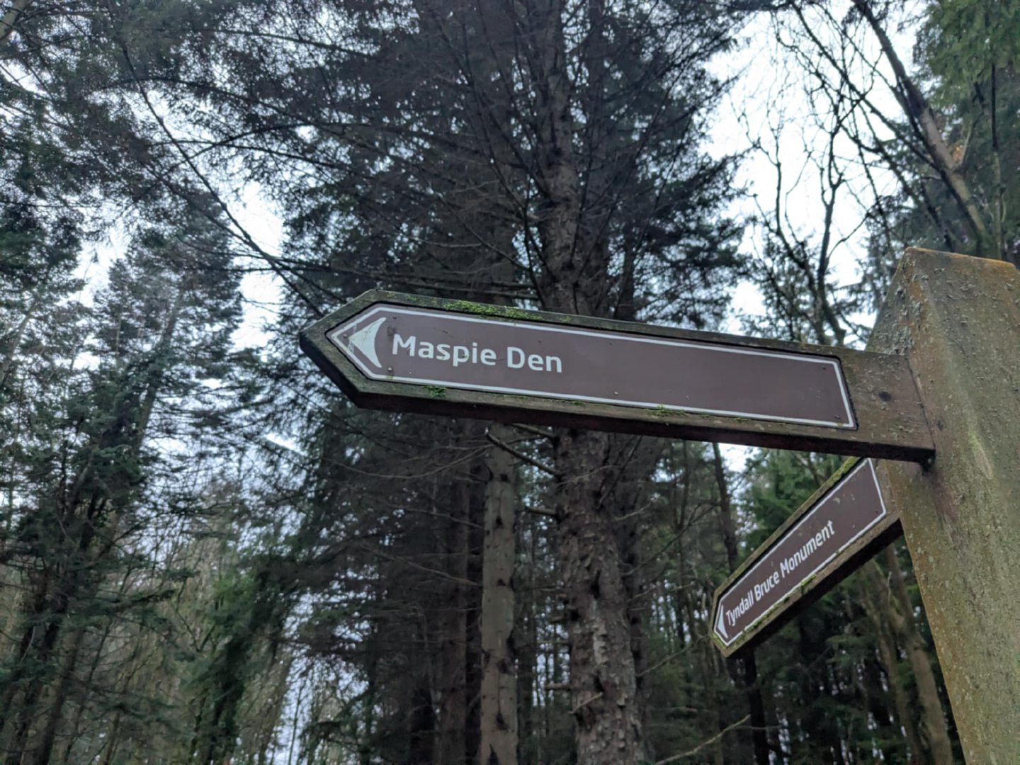 Exploring magical Maspie Den in Falkland