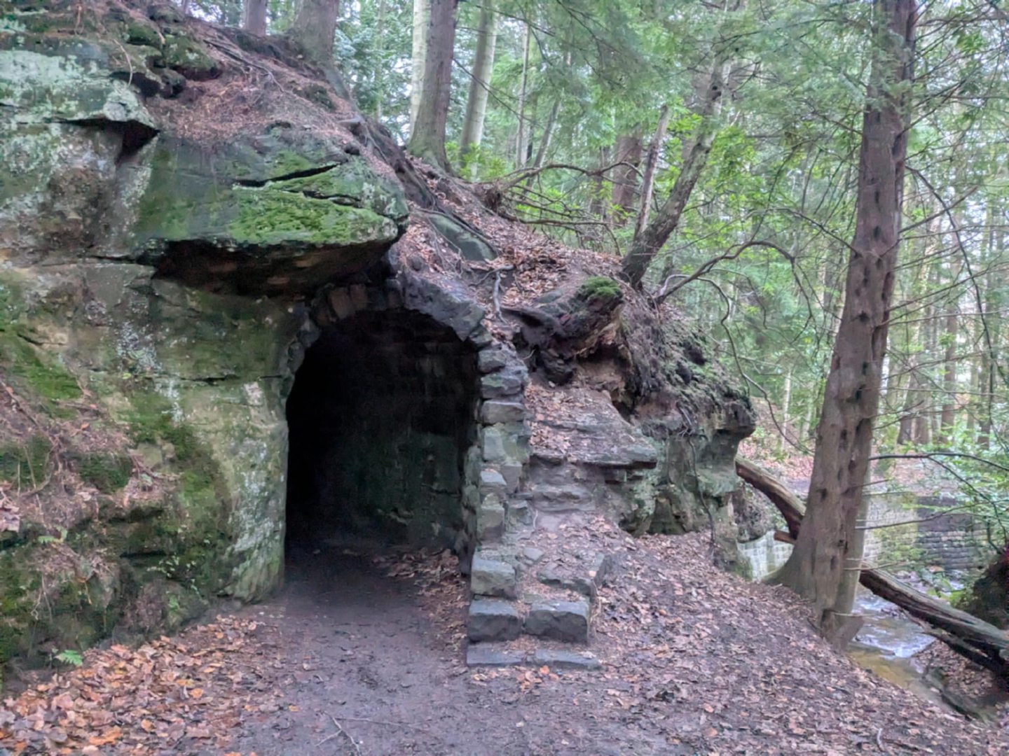 Exploring magical Maspie Den in Falkland