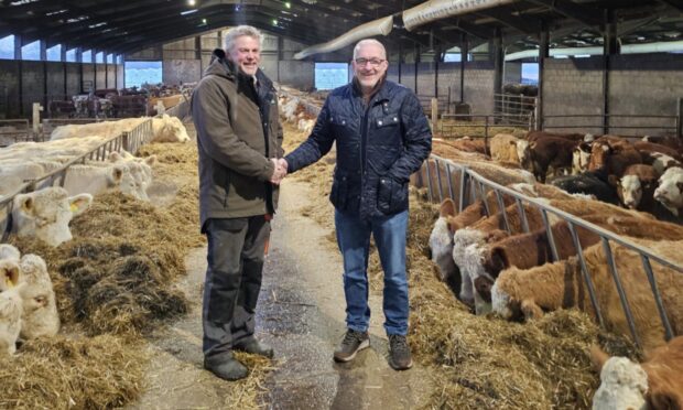 Leading Perthshire farmer to host national beef event in 2027