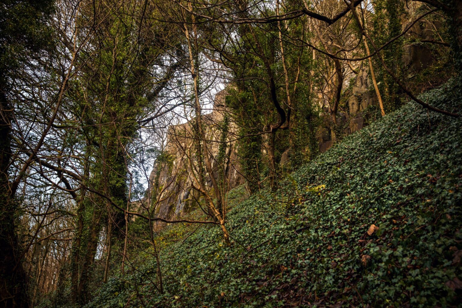 Stirling back walk photos - exploring Scotland's historic city route