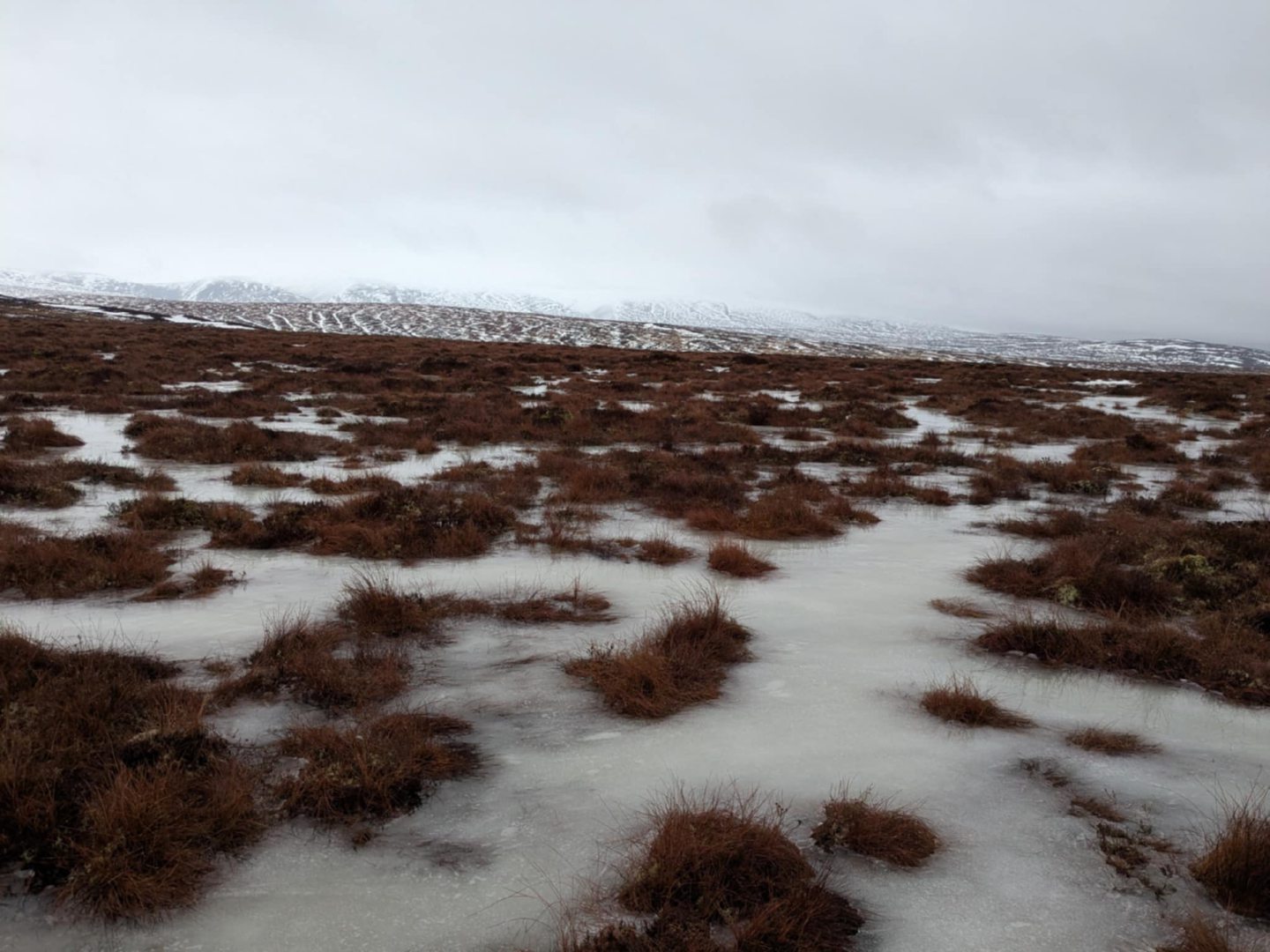 I explore the 'ghost villages' of Perthshire's Dalnamein Forest