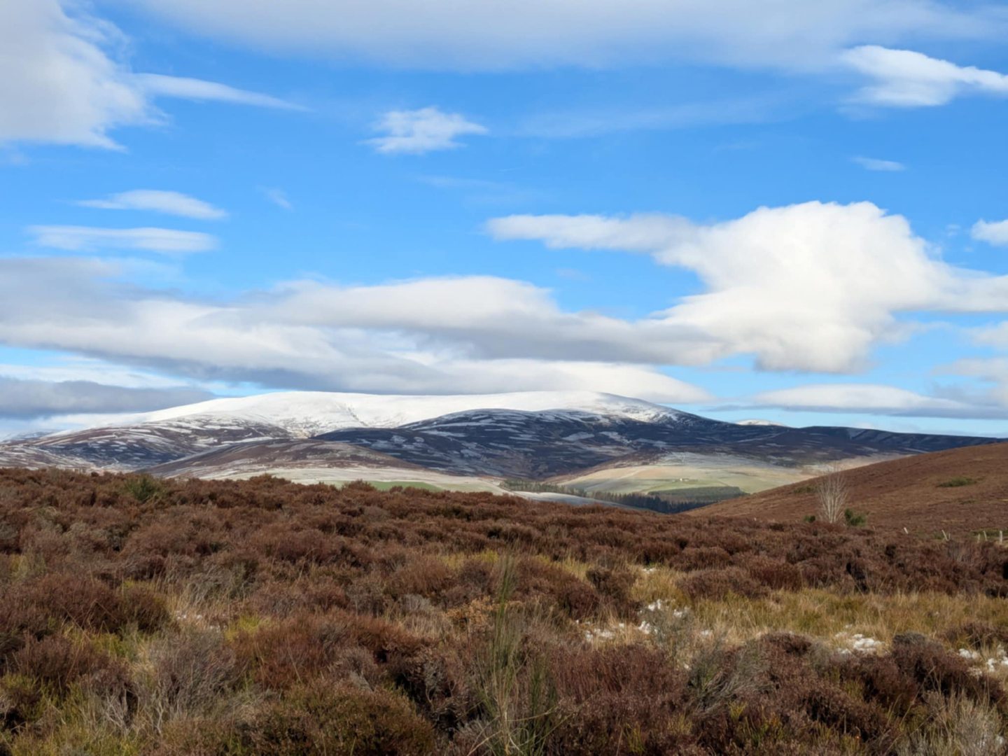 What secrets do the Caterthuns Iron Age forts near Edzell hide?