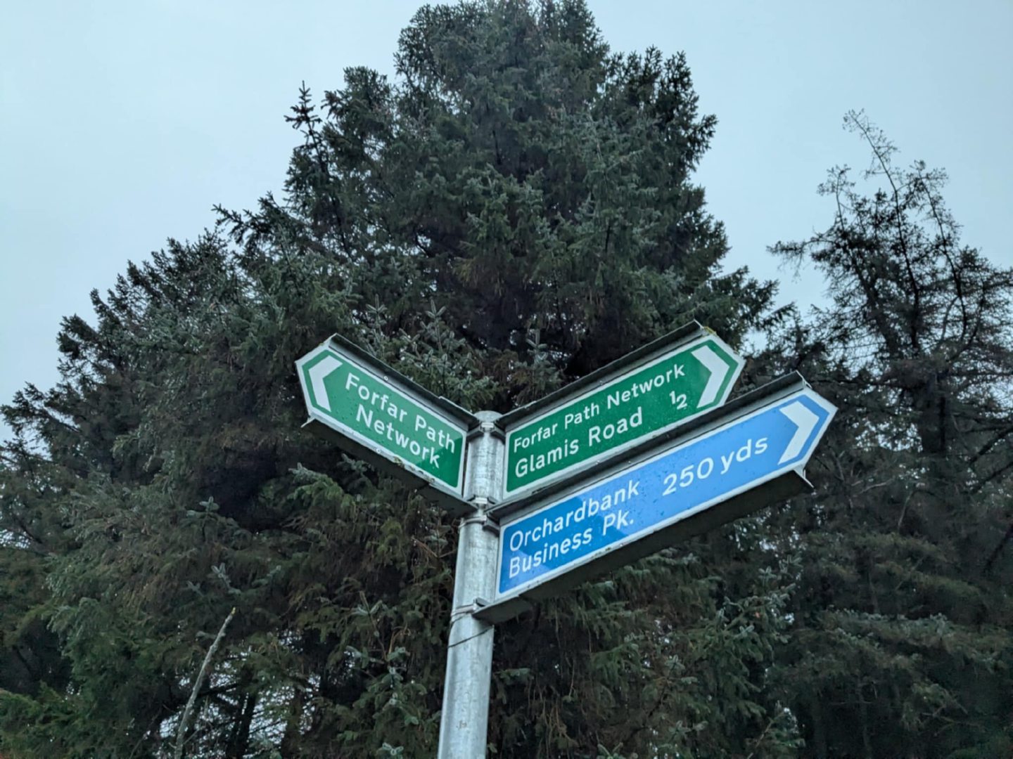What dark discovery did I make while exploring Forfar Loch?